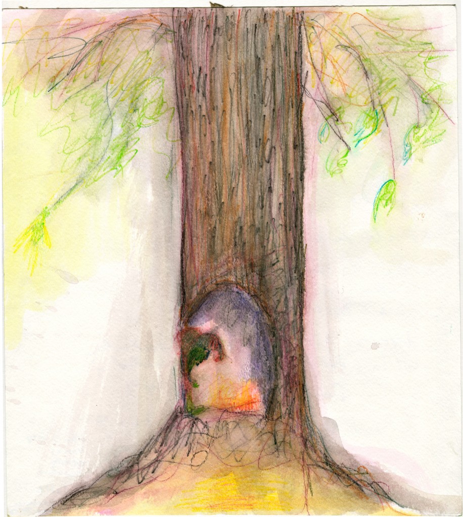 Tree Conversation Drawings – The Tree Conversations